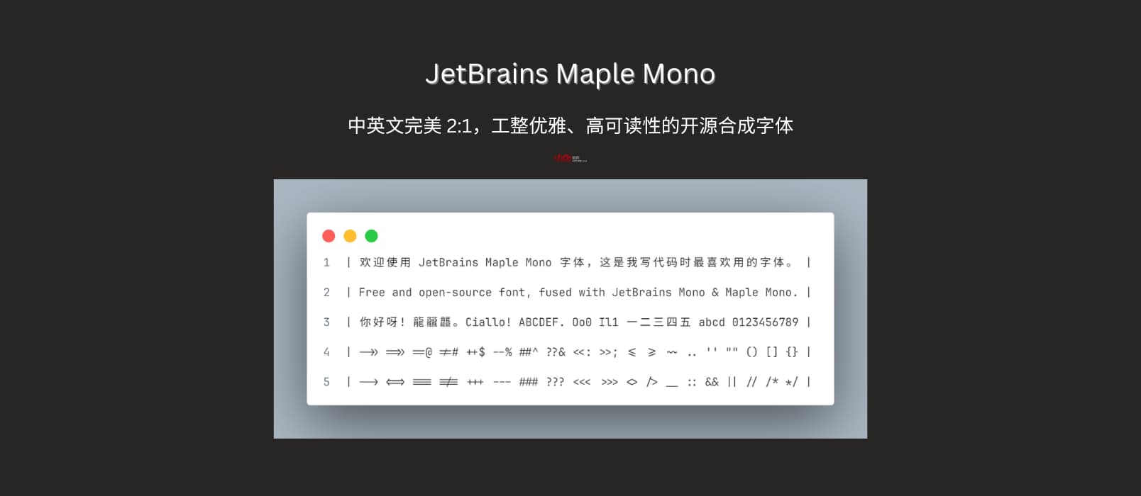 中英文完美 2:1，JetBrains Maple Mono：一款工整优雅、高可读性的开源合成字体